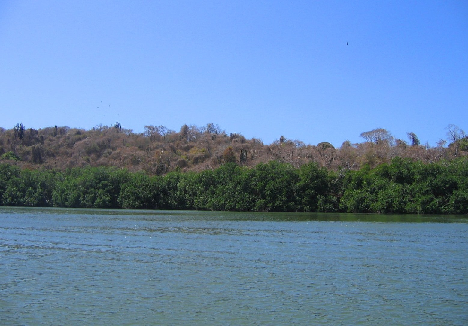 Chacahua y Laguna de Pastoría: Paraísos Naturales en Puerto Escondido ...
